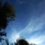 Contrail Science – The Science and Pseudoscience of Contrails and ...